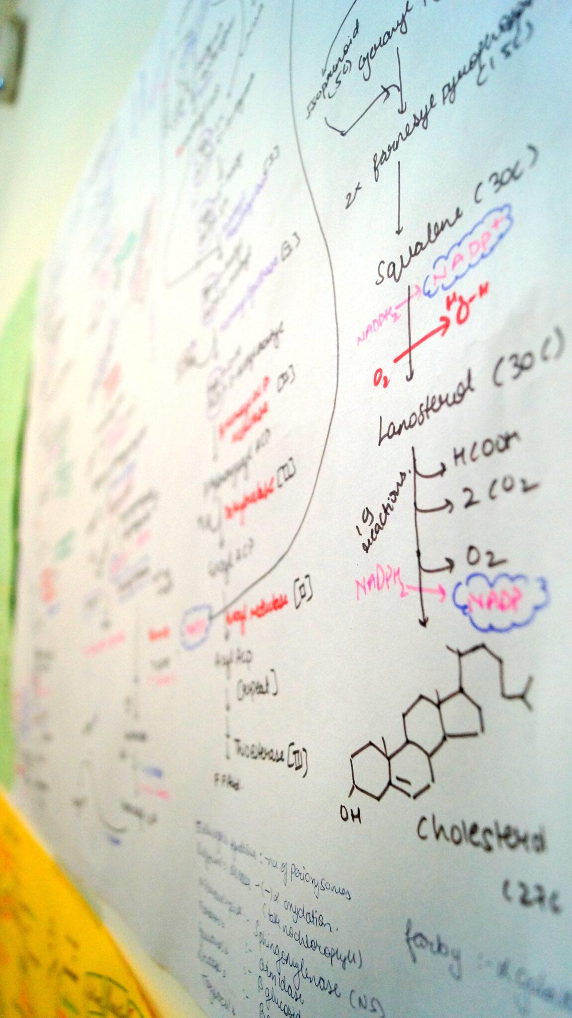 Lipid Metabolism Biochemistry Wall Chart - Anuj Pachhel